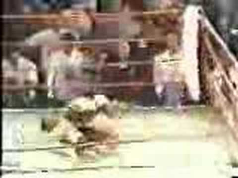 US Army Rangers learning Gracie Jiu Jitsu