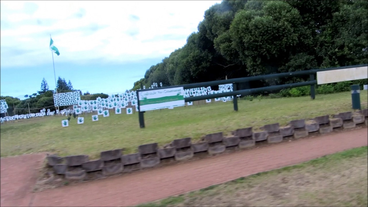 Introductory tour drive to Norfolk Island - YouTube