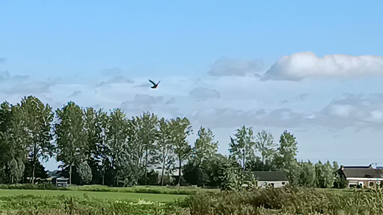 Xiaomi 11T: video-sample / camera test