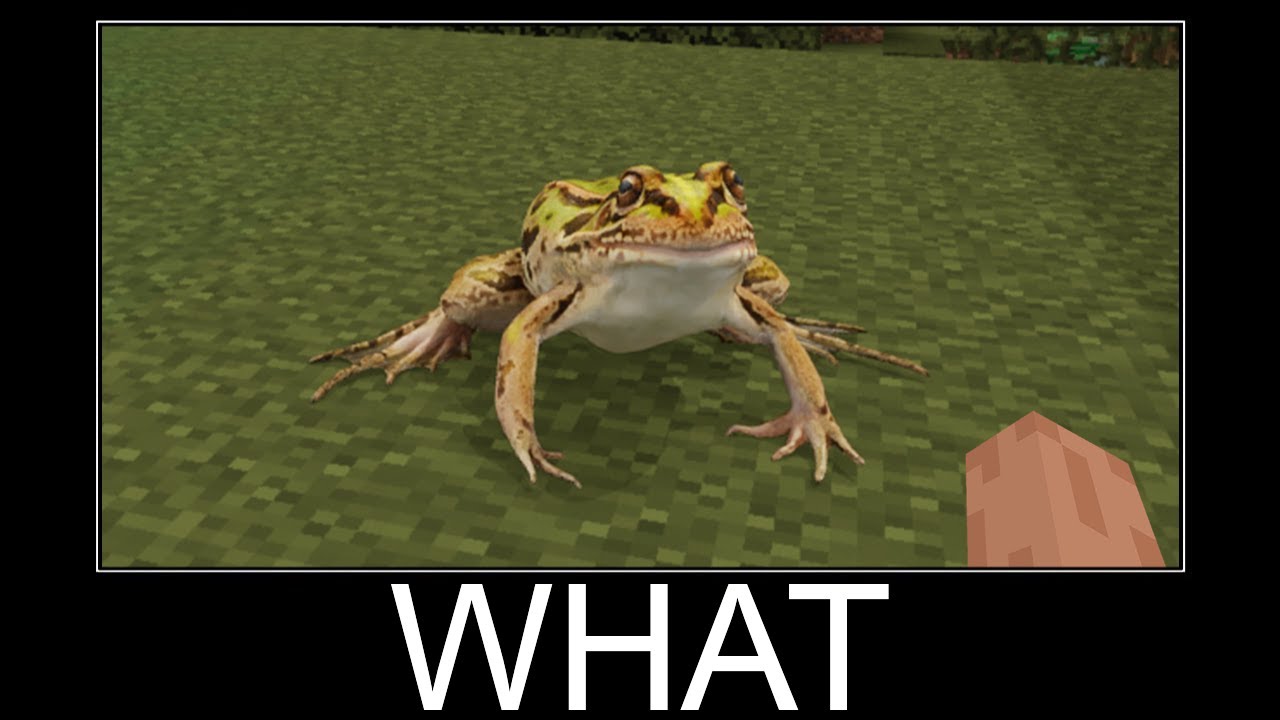 Minecraft realistic wait what meme, Lava, Water, Slime #8 - YouTube