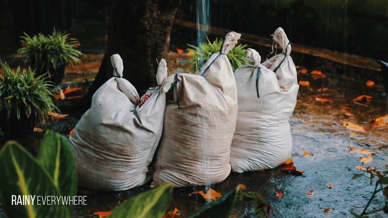 3 sacks under the rain - YouTube