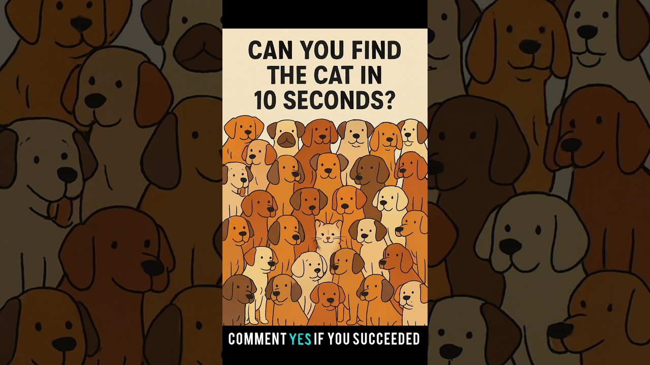 Can you, find the cat in 10 seconds | it's a very easy puzzle | #puzzle ...
