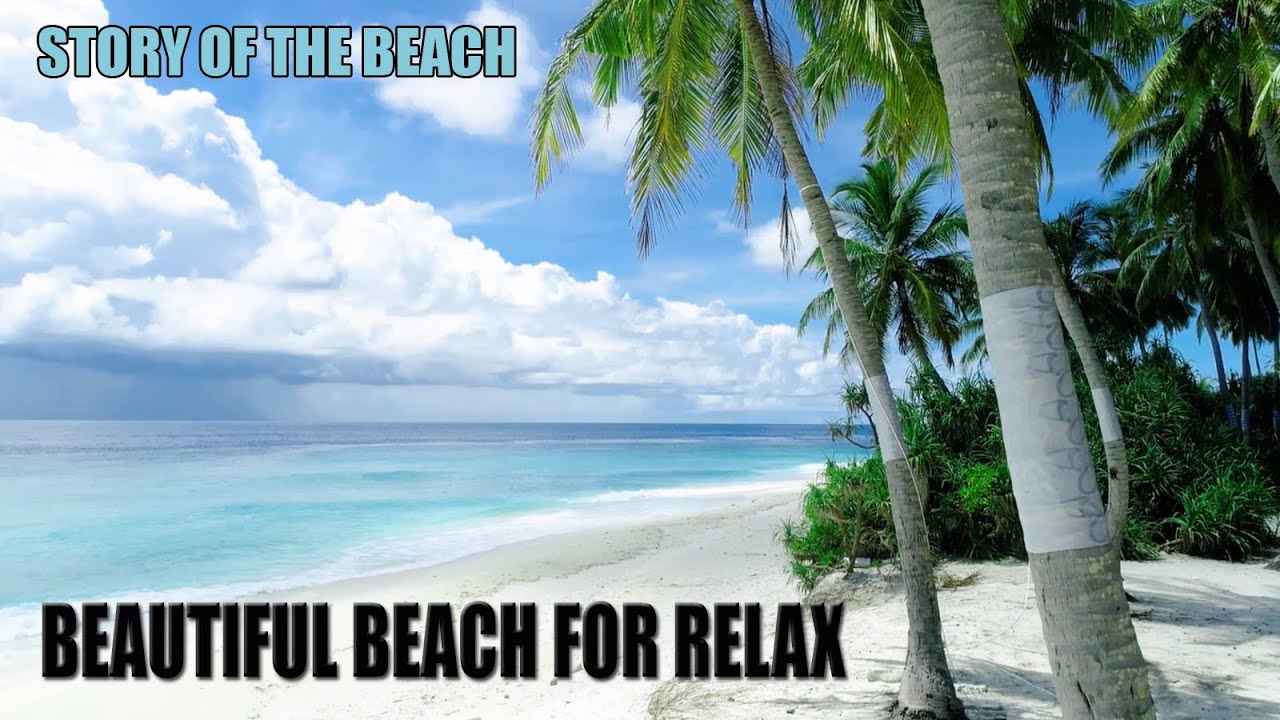 Beach Stories | Nature Beautiful Beach Stories - YouTube