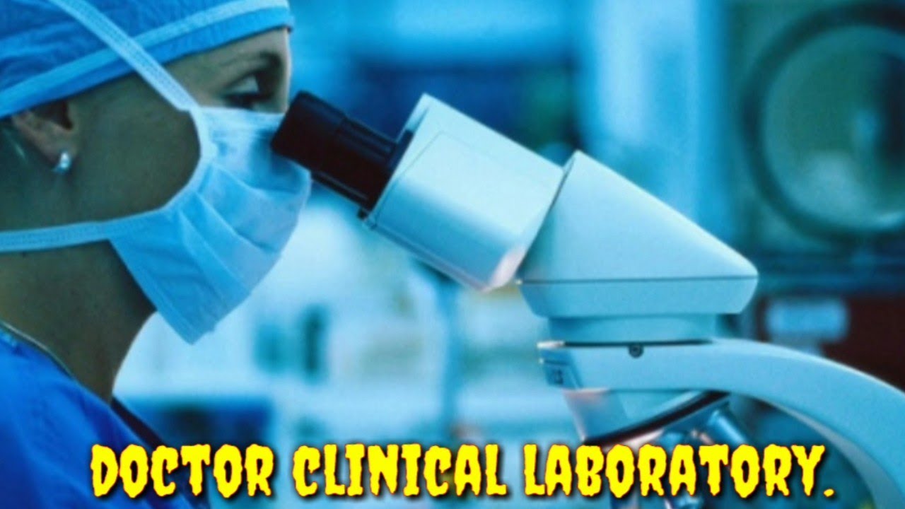 Doctors Clinical Laboratory||The most beautiful lab. - YouTube