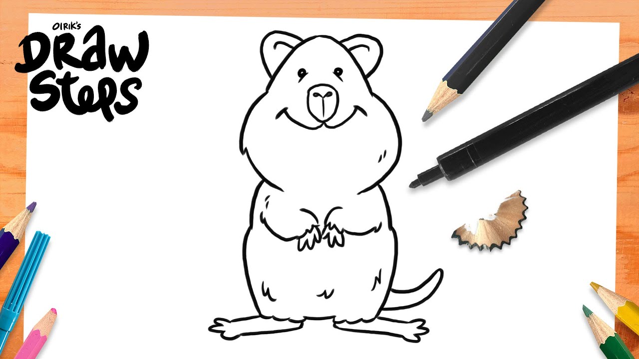 How to draw a cute QUOKKA (easy step by step) - YouTube