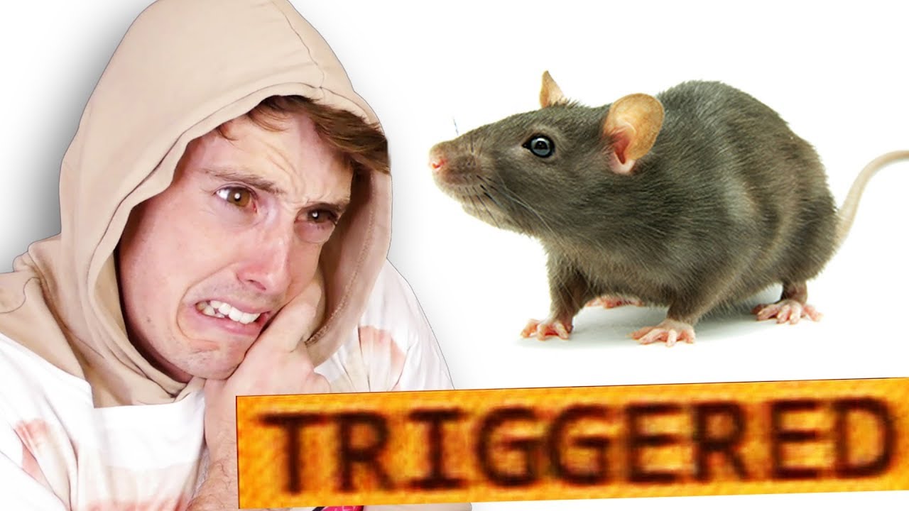 MY BIGGEST FEAR! - Random Games - YouTube