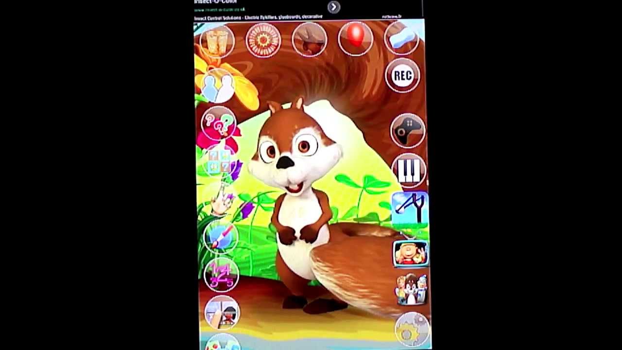 Talking Baby Squirrel - YouTube