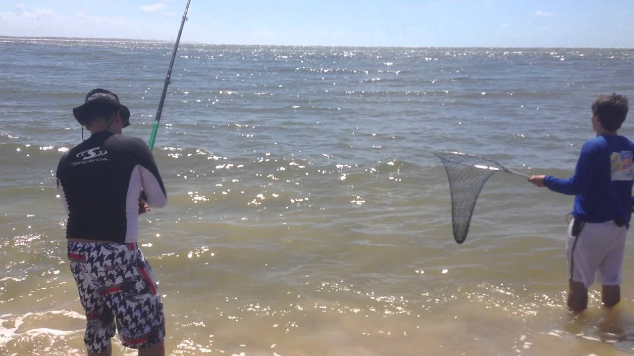 Pescaria Xareu 15kg Praia do Coquerinho - Cauera/SE - YouTube