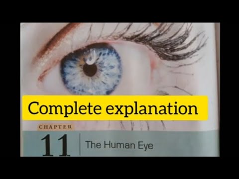 human eye/class8/dav science/ch11/part1 - YouTube