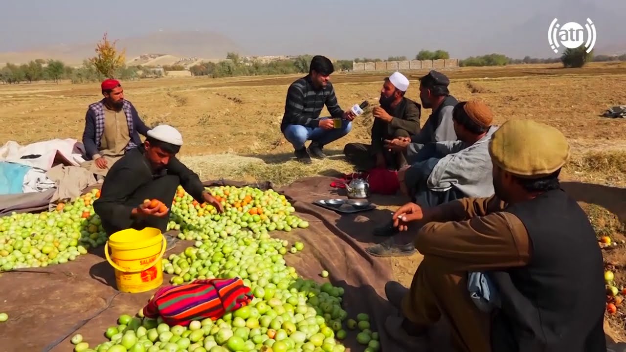 #HamayonAfghan in Chehel Dokhtaran village / صحبت های همایون افغان با ...