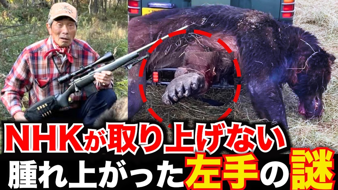 【ヒグマ駆除】NHKは取材NG、怪物ヒグマOSO18の舞台裏 - YouTube