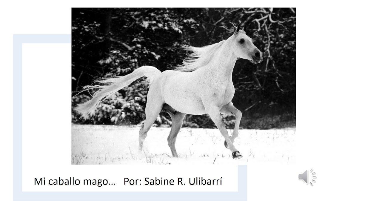 Mi caballo mago Audio - YouTube