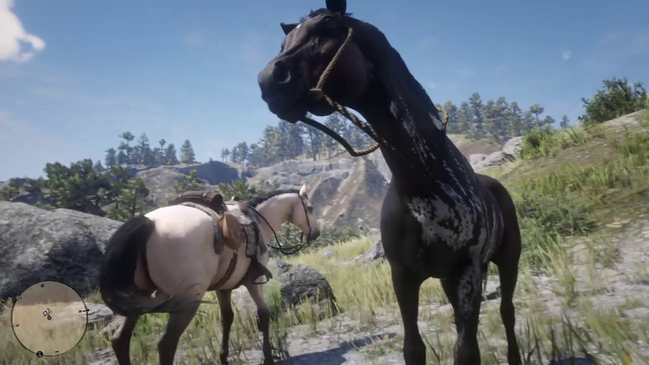 Red Dead Redemption 2 Story _Warped Brindle Arabian Horse Location ...