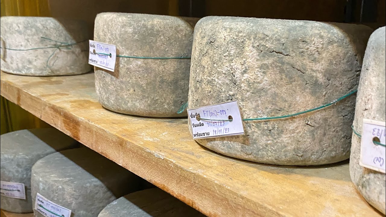 Visiting Jartisan, A Thai local cheese maker in Chiangmai, Northern ...