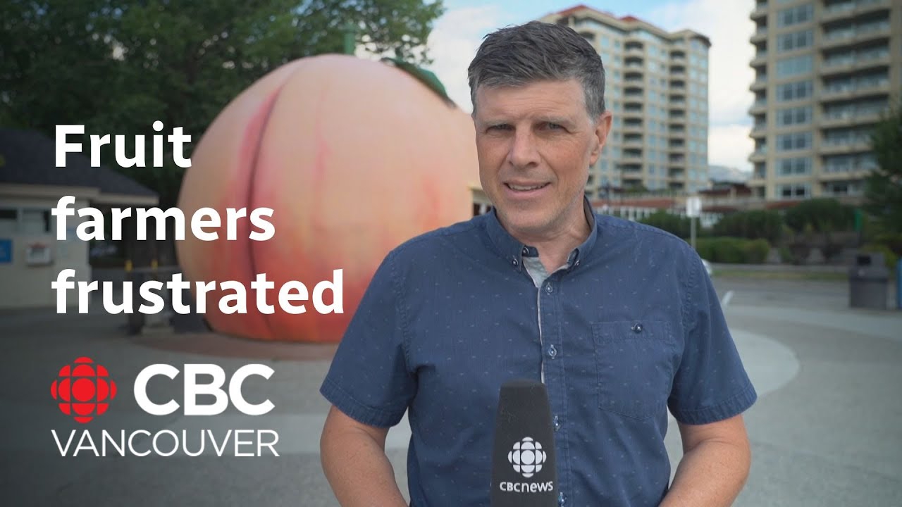 Frustrated B.C. fruit farmers desperate for more provincial support ...