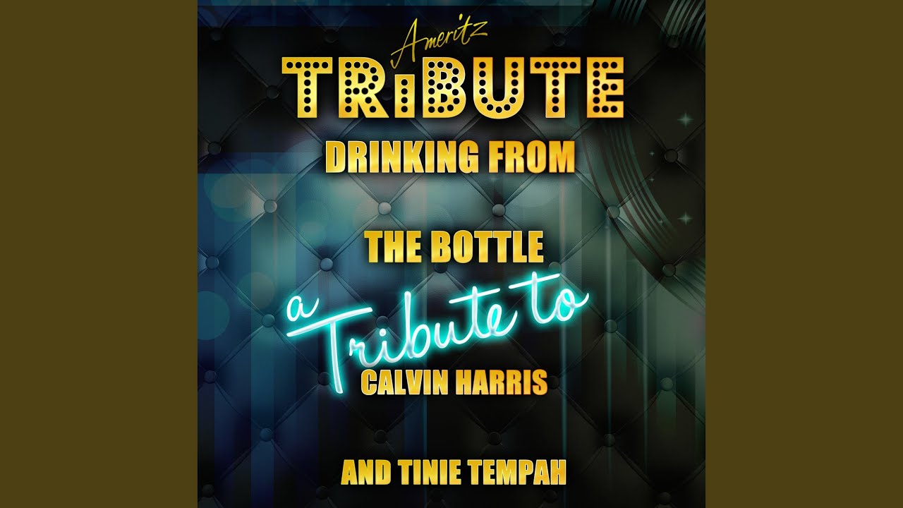 Drinking from the Bottle (A Tribute to Calvin Harris and Tinie Tempah ...