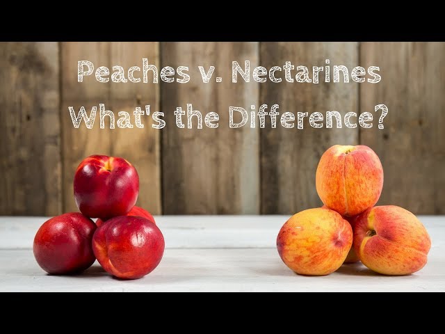 Nectarines Vs Peaches What39s The Difference Peaches Vs Nectarines: