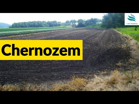 What is Chernozem ? - YouTube
