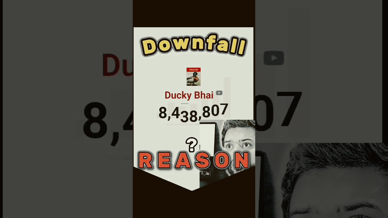 Ducky's downfall x Sham idrees and Talha reviews 🔥😈 #duckybhai # ...