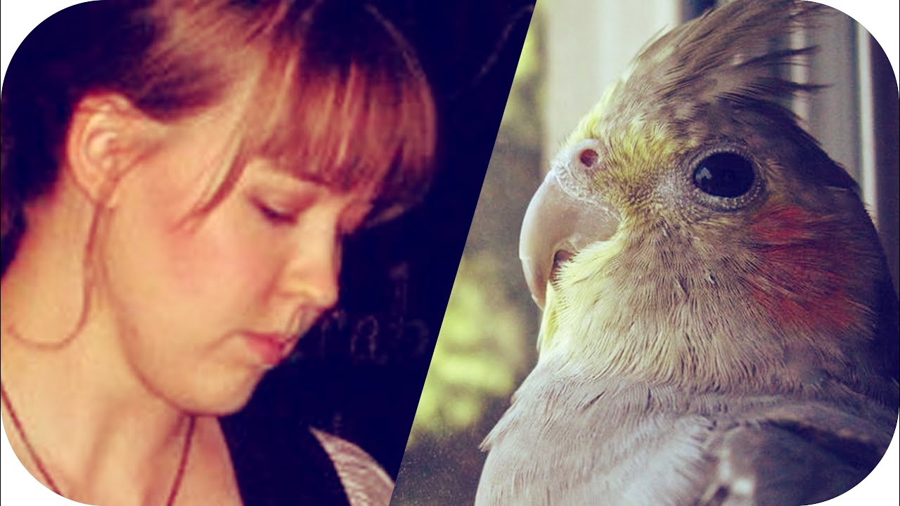 How She Wishes featuring Faith Shaw - YouTube