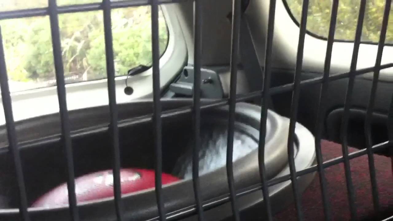 Make your trunk rattle - YouTube