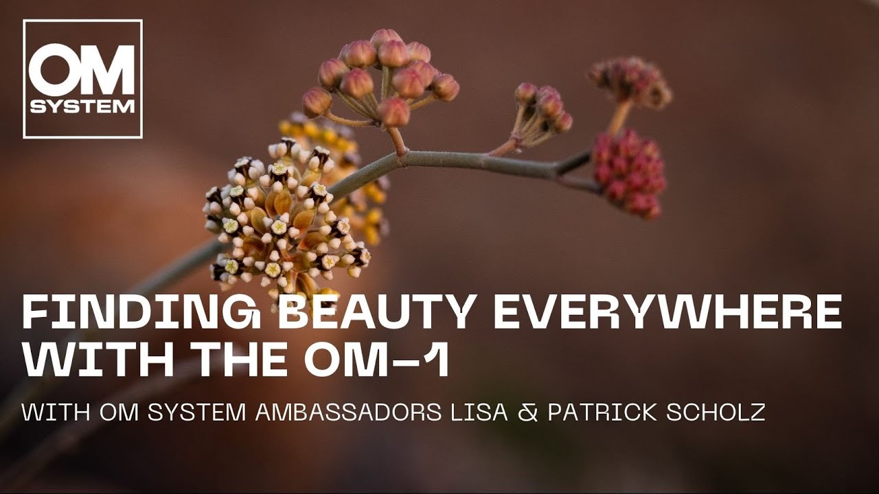 Finding beauty everywhere | Landscape Photography with the OM SYSTEM OM ...