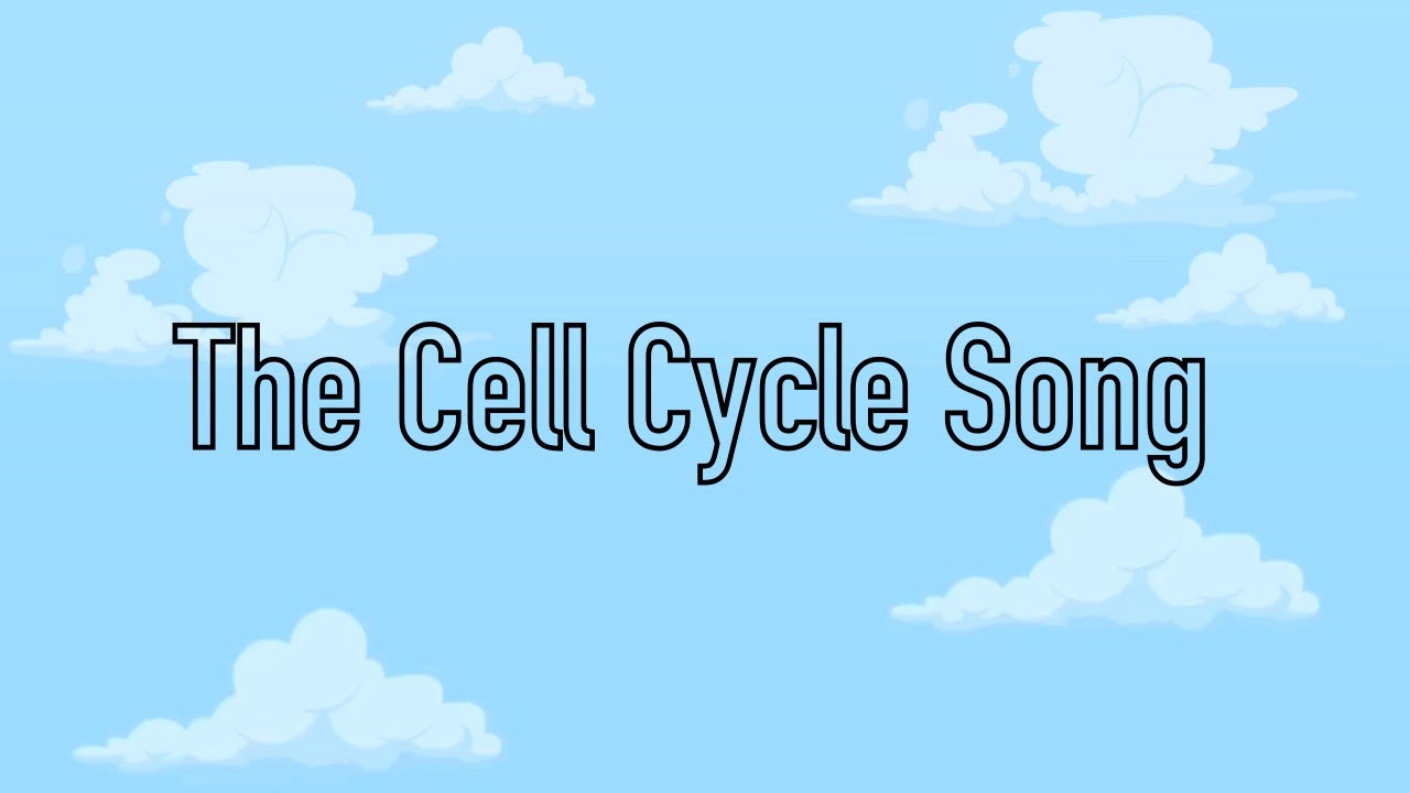 The Cell Cycle Song (Lyric Video)[Educational] - YouTube