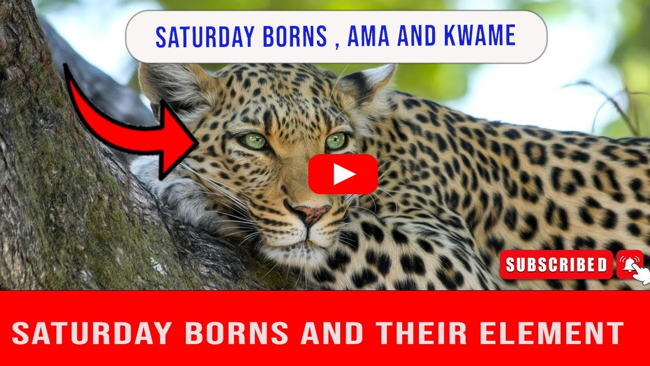 Saturday Born's And Their Element - YouTube