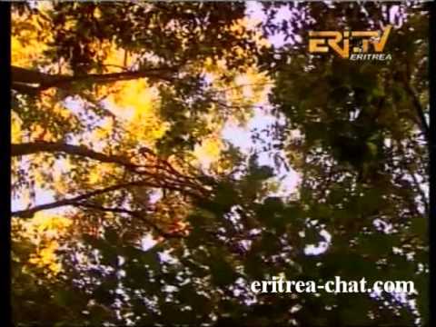 Eritrean Christian Gedam Abune Henok - Adi Arbae - Adi Quala - YouTube