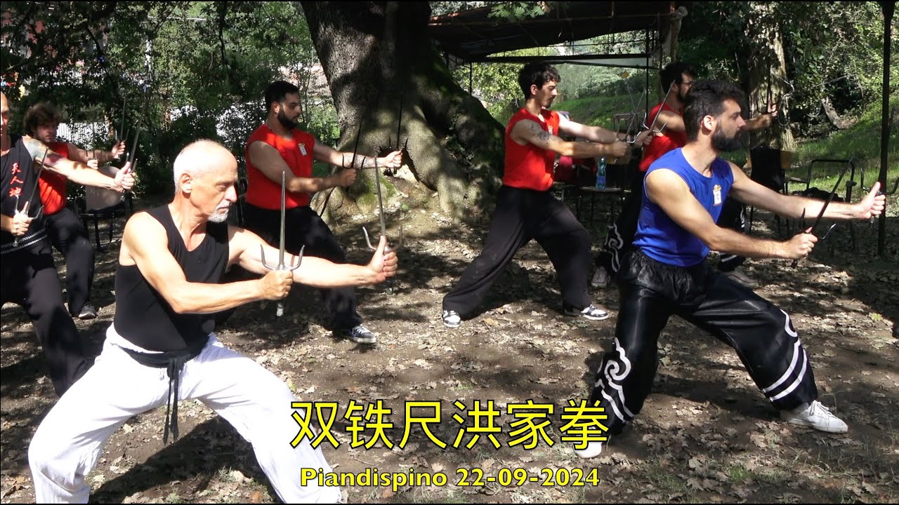双铁尺洪家拳 TIE CHI (SAI) Hung Gar and Shou Bo - YouTube