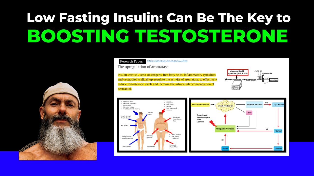 Low Fasting Insulin: Can Be The Key to Boosting Testosterone - YouTube