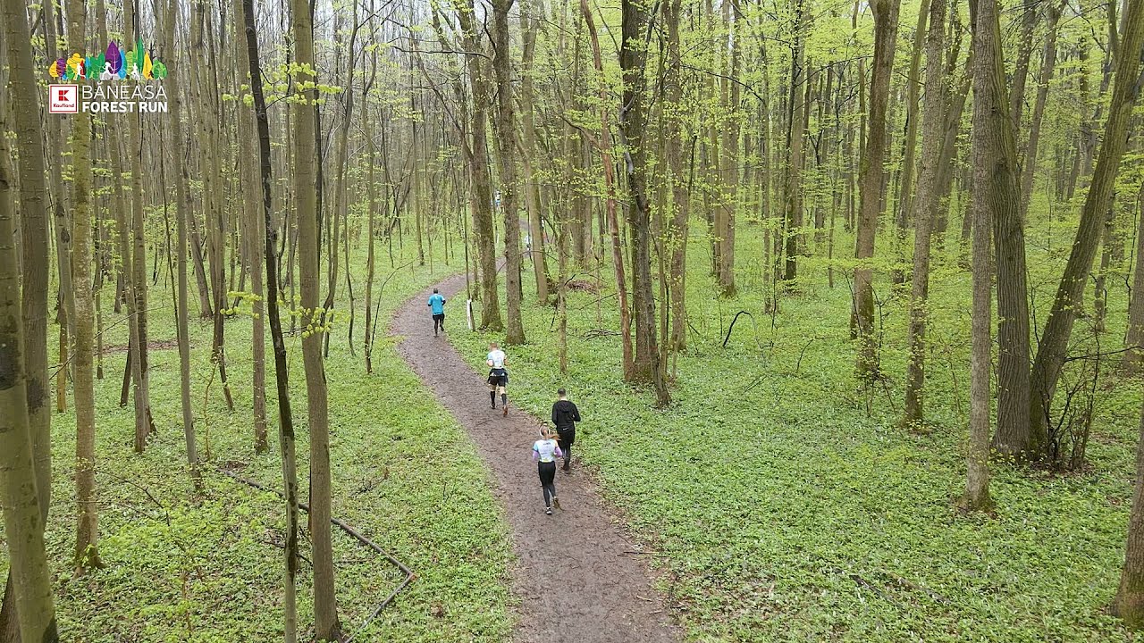Baneasa Forest Run 02 Aprilie 2023 - YouTube