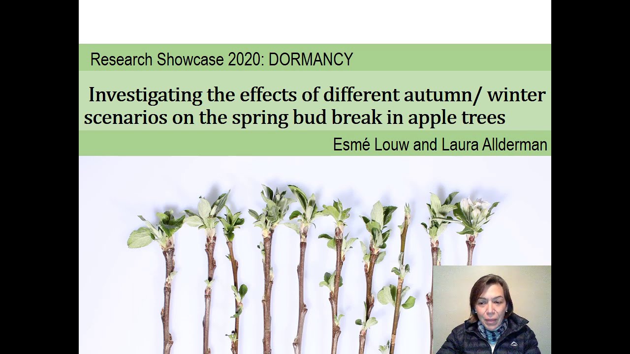 Effects of different autumn/ winter scenarios on the spring bud break ...