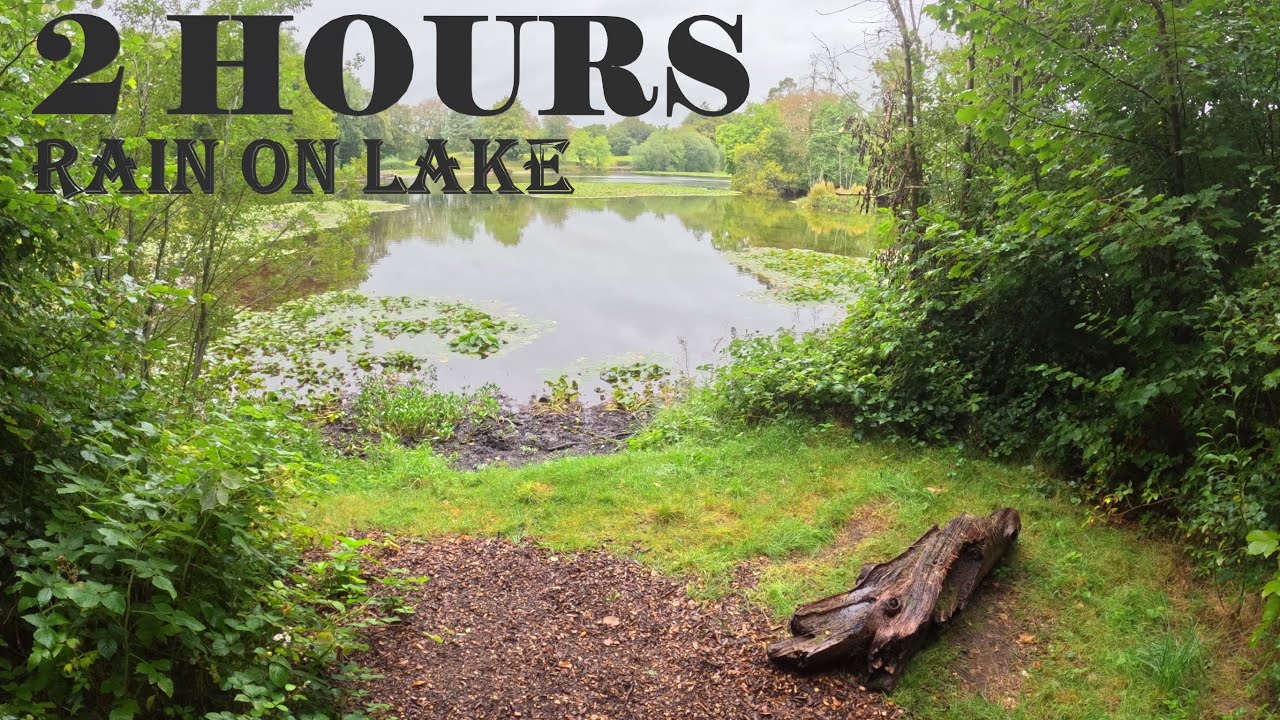 Raindrops on a lake, fall asleep sounds, 2 hours of relaxation video ...