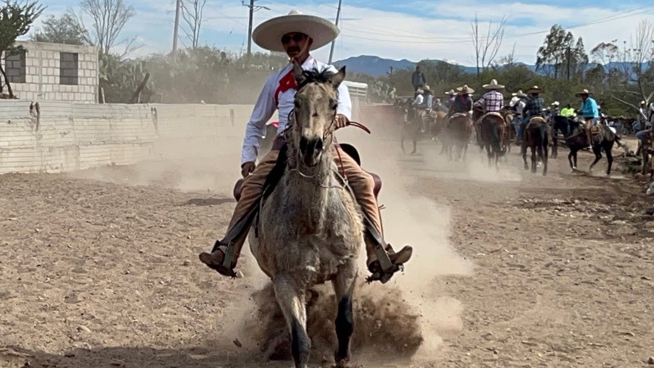 Coleadero 13 De De Enero Mimbres Lienzo Charro Hermanos Olguín - YouTube