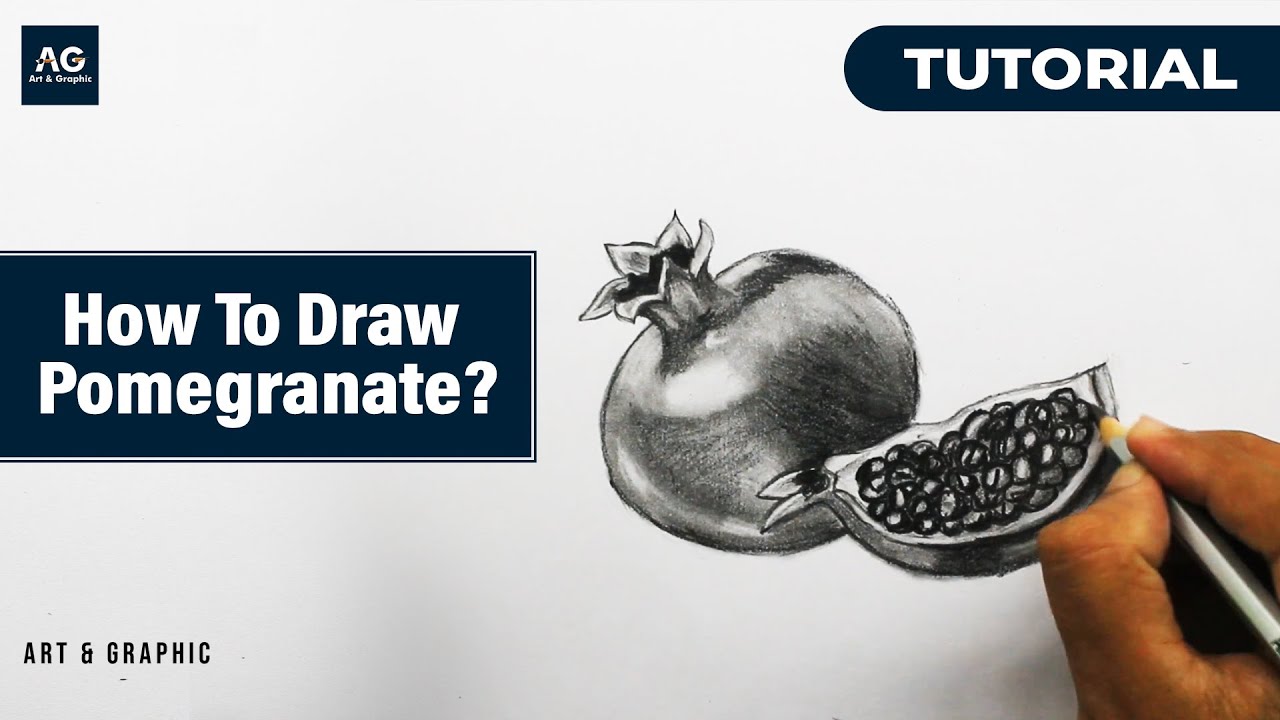 How to Draw Pomegranate | Easy Drawing Step-by-step - YouTube