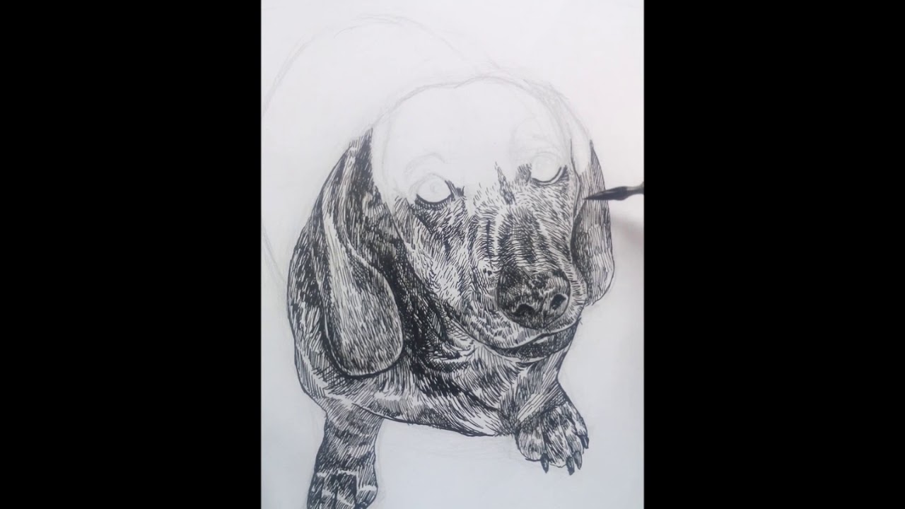 Dibujando con tinta ( INK DRAWING) - YouTube