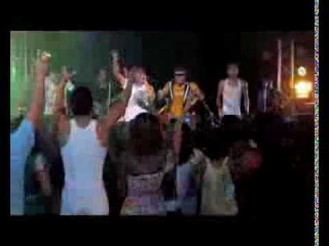 Miavy malaky - Firmin