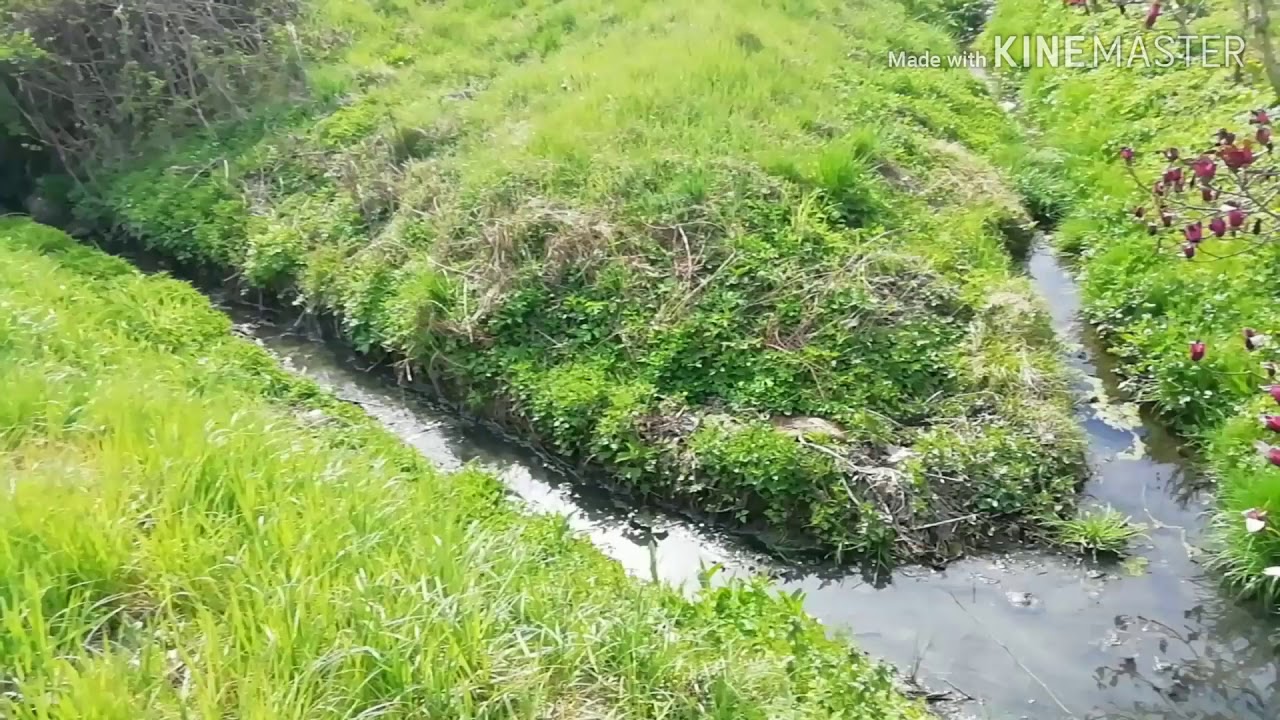 Prezentare. Parau. La. Intrare in comuna. Zam - YouTube