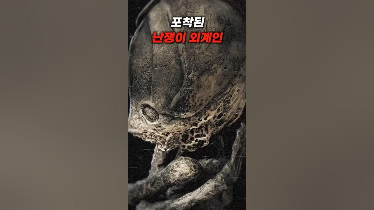 도저히 상식이 안되는 외계인 조각상 Youtube
