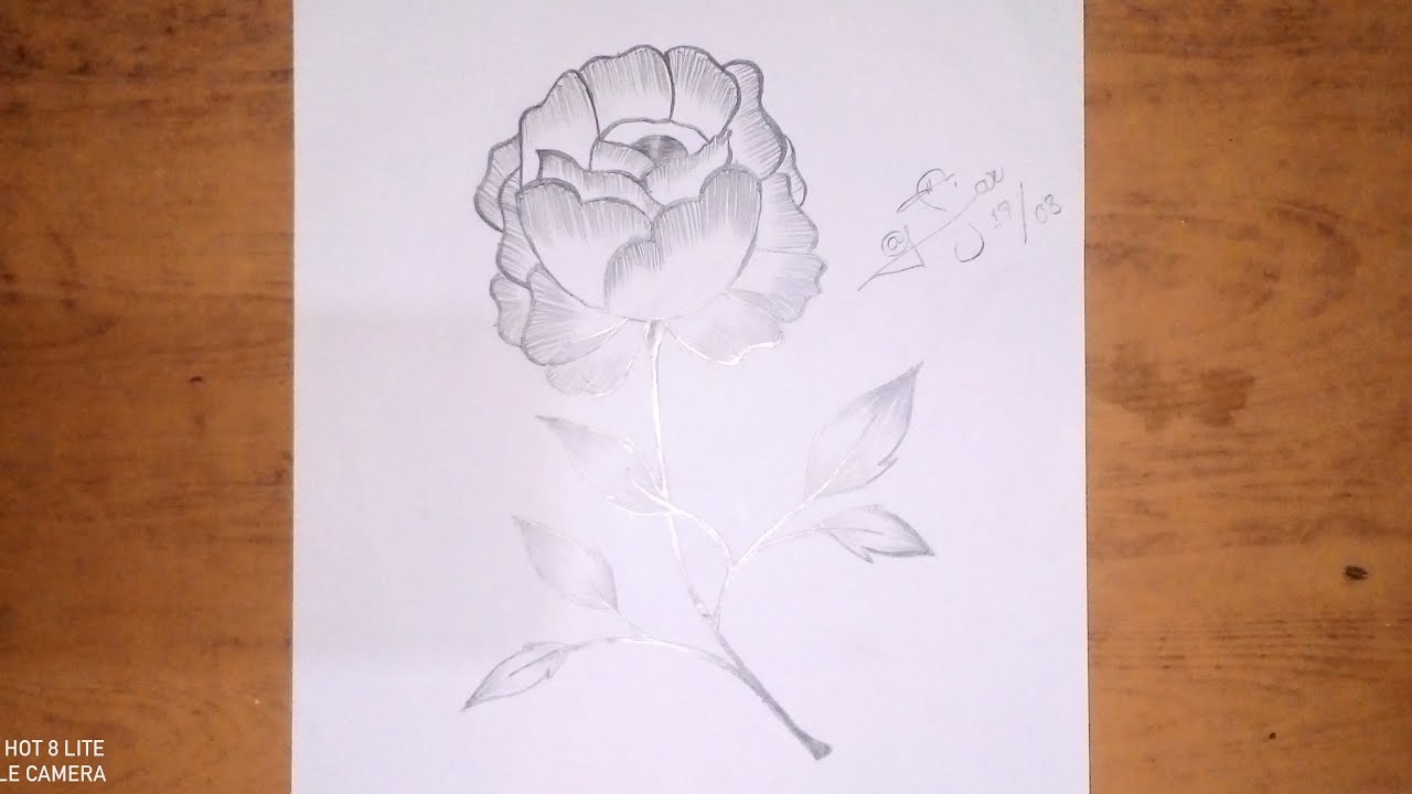 How to draw beautiful rose sketch step by step in very simple way that ...