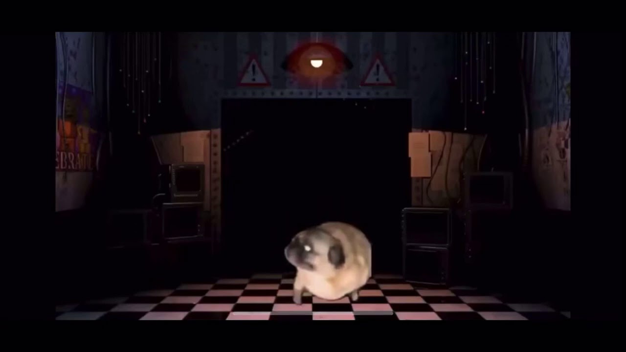Pug dancing to fnaf music box. - YouTube