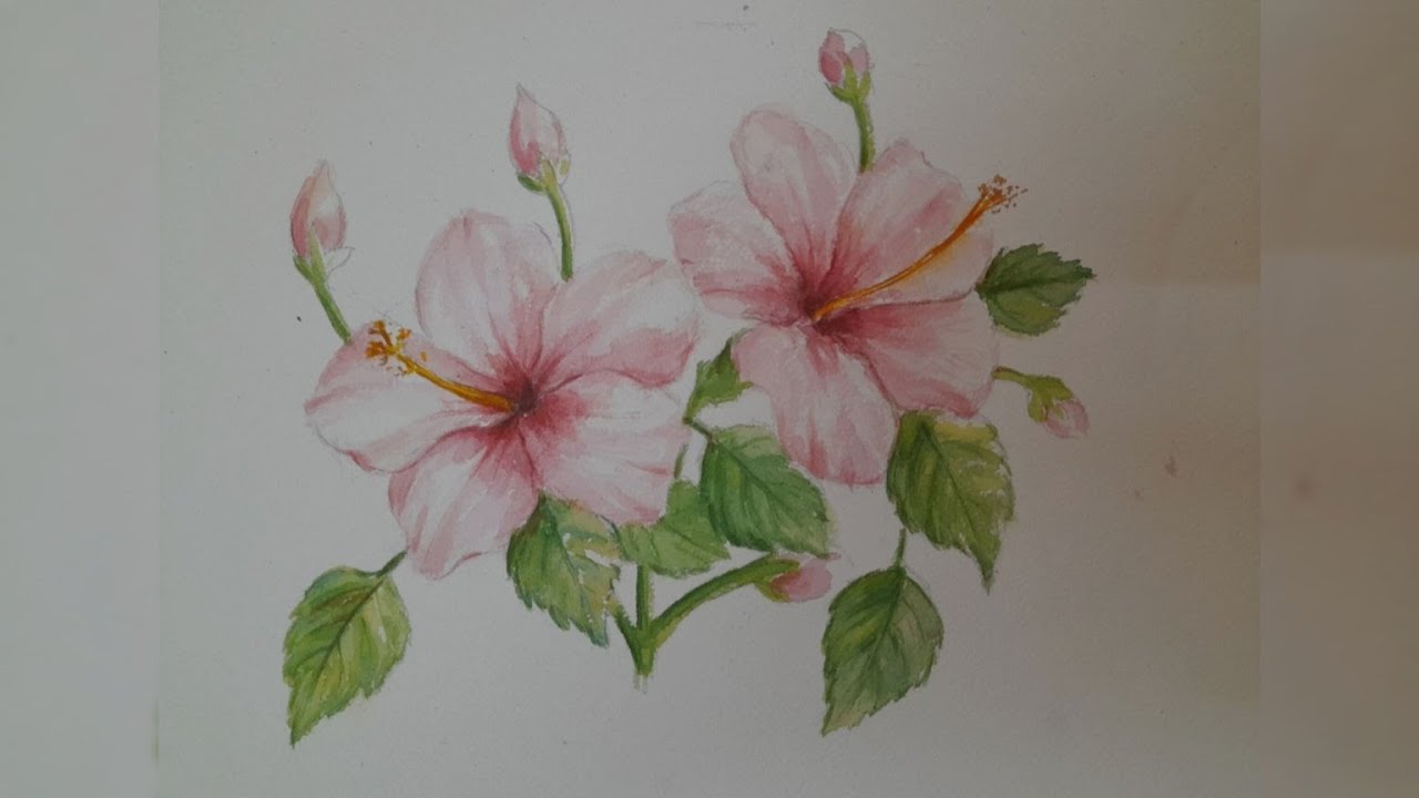 How To Paint Hibiscus Flower Watercolor Painting Tutorial YouTube how-to-paint-hibiscus-flower-watercolor-painting-tutorial-youtube