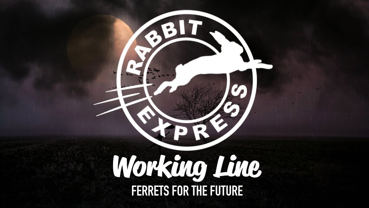 Breeding Plans 2021 - Rabbit Express Working Line - YouTube