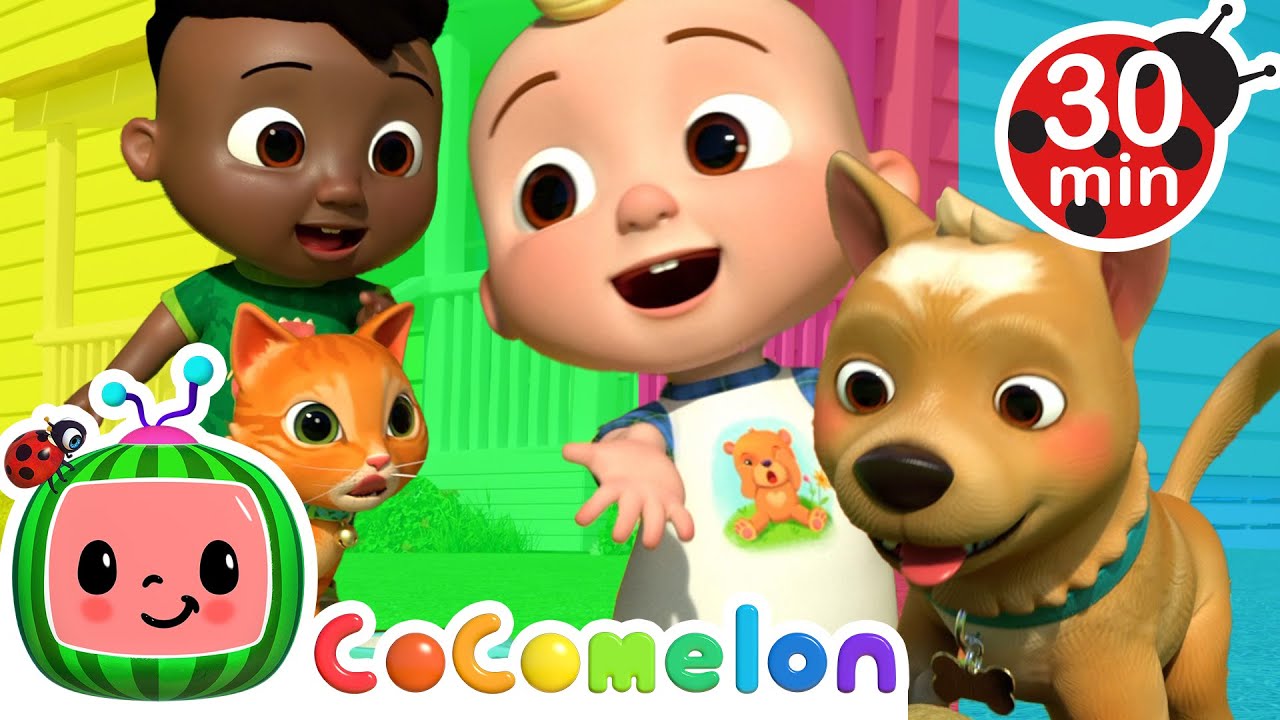 JJ and Cody's Opposite Song with Pets | CoComelon Nursery Rhymes & Kids ...