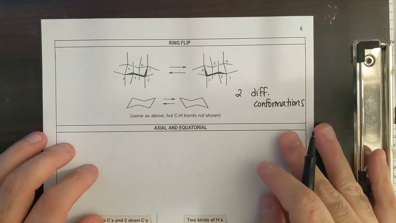 Chair conformations & Axial/Equatorial Positions on Cyclohexane. - YouTube