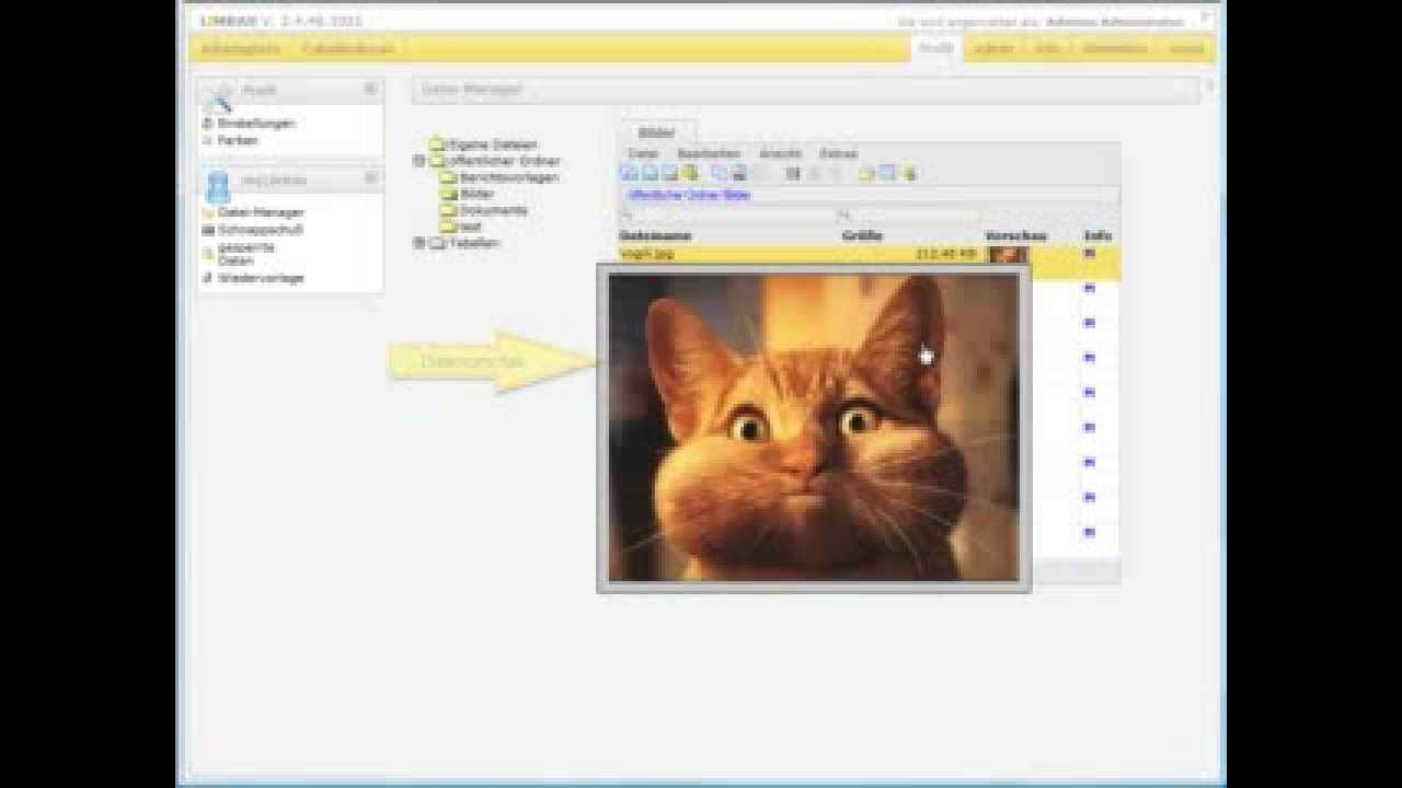 Limbas Einführung - YouTube
