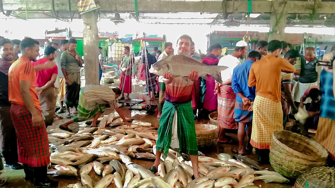 BIG FISH - BD Biggest fish market | বড় বাজারে বড় মাছ | BD Fish Market ...