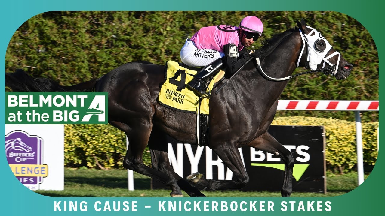 King Cause - 2022 - The Knickerbocker - YouTube