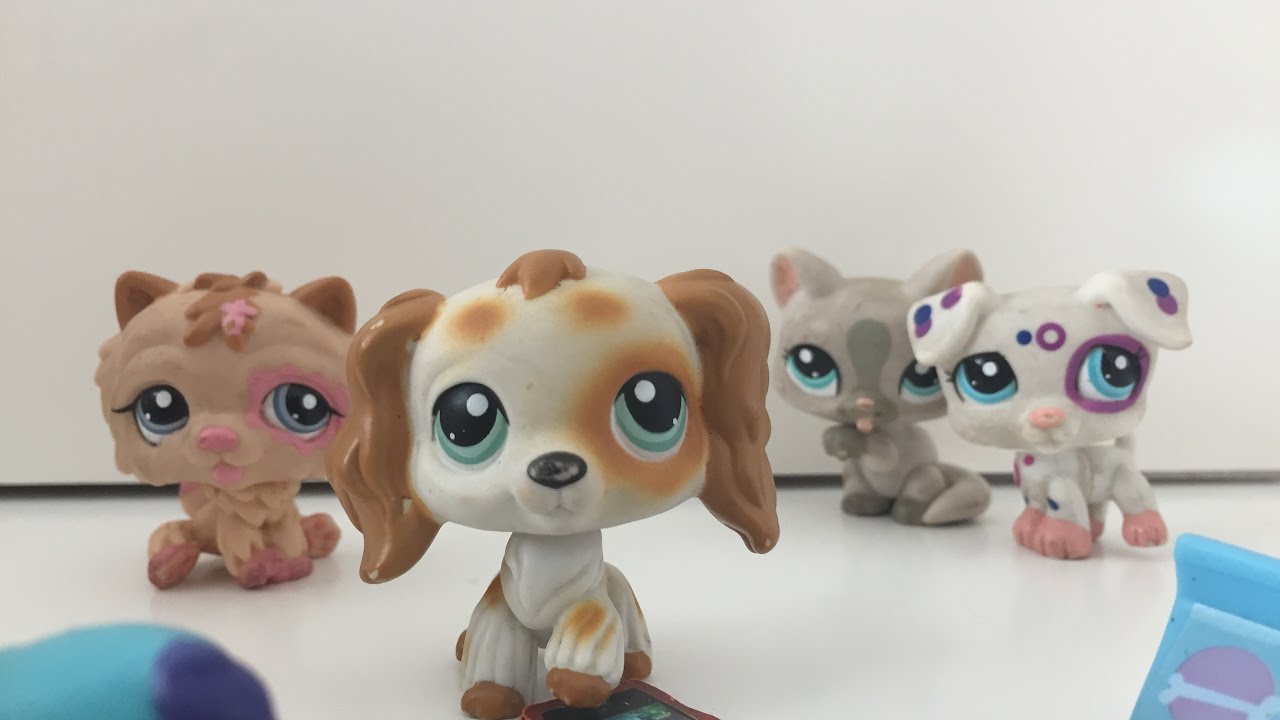 LPS.~ Dale de comer a Poppy! - YouTube